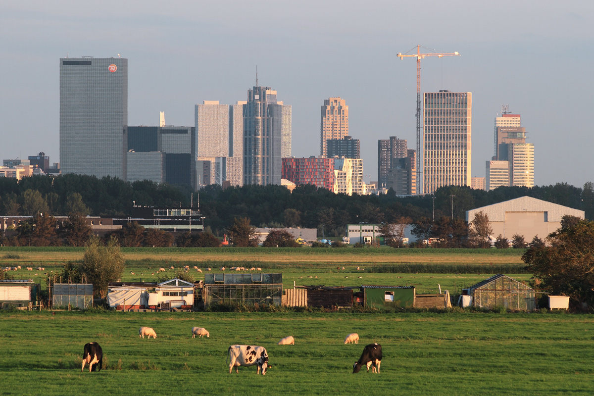 Rotterdam Town and Country, Maarten P. Dijk [1200x800] : r/NetherlandsPics